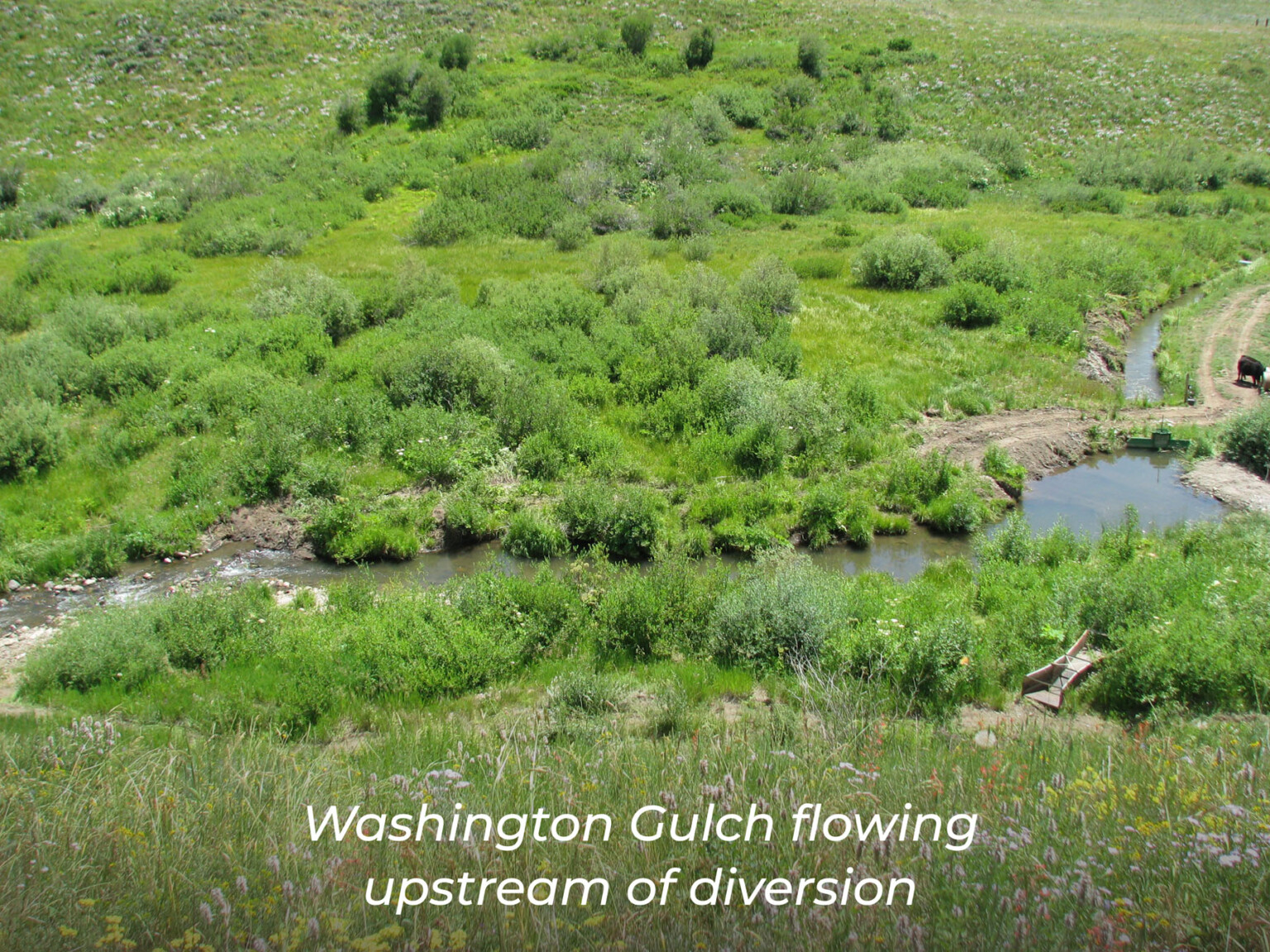 The Story of Washington Gulch - Colorado Water Trust