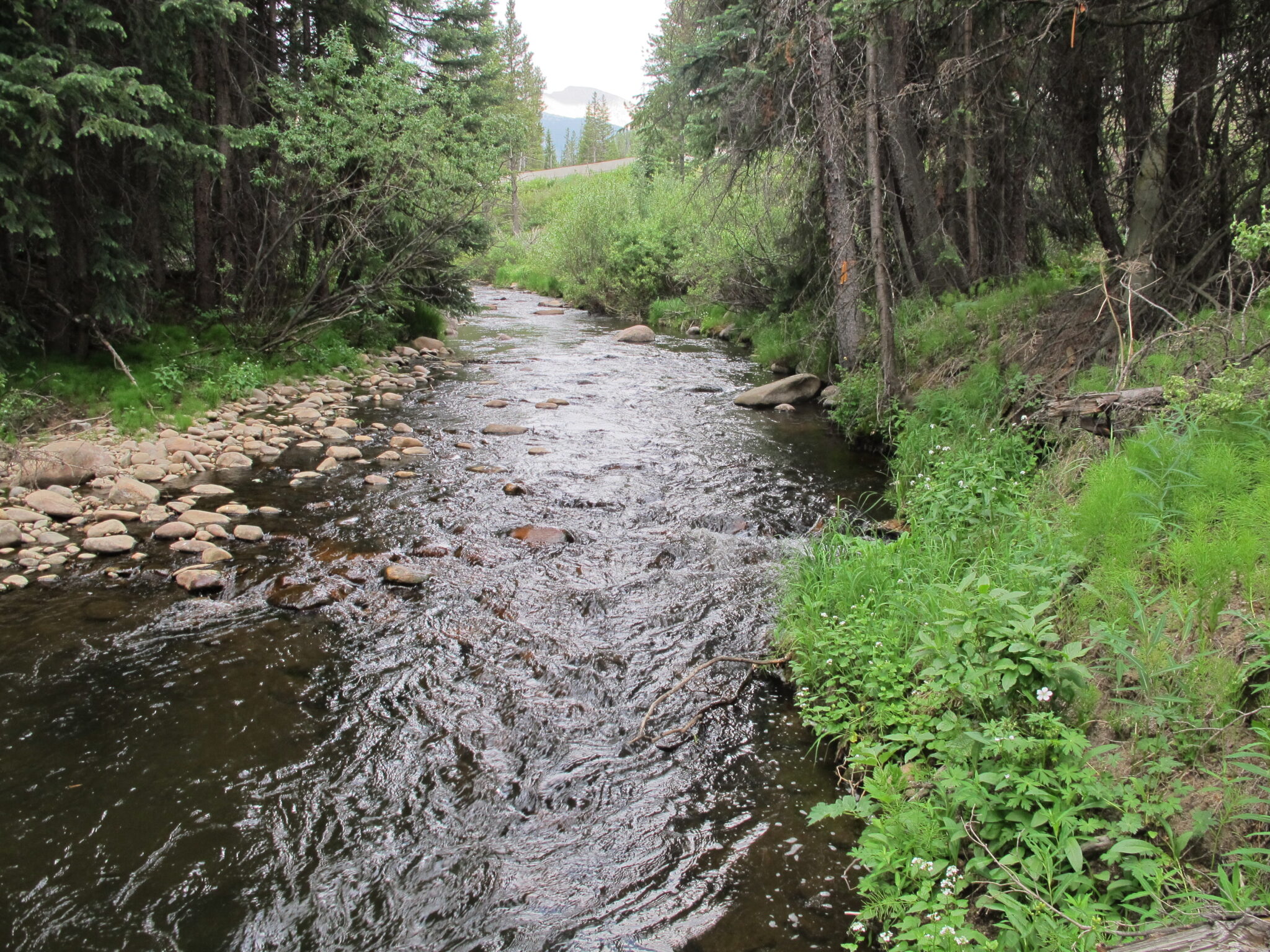 Grand County Irrigators Release Stored Water to Boost Fraser River Flow ...