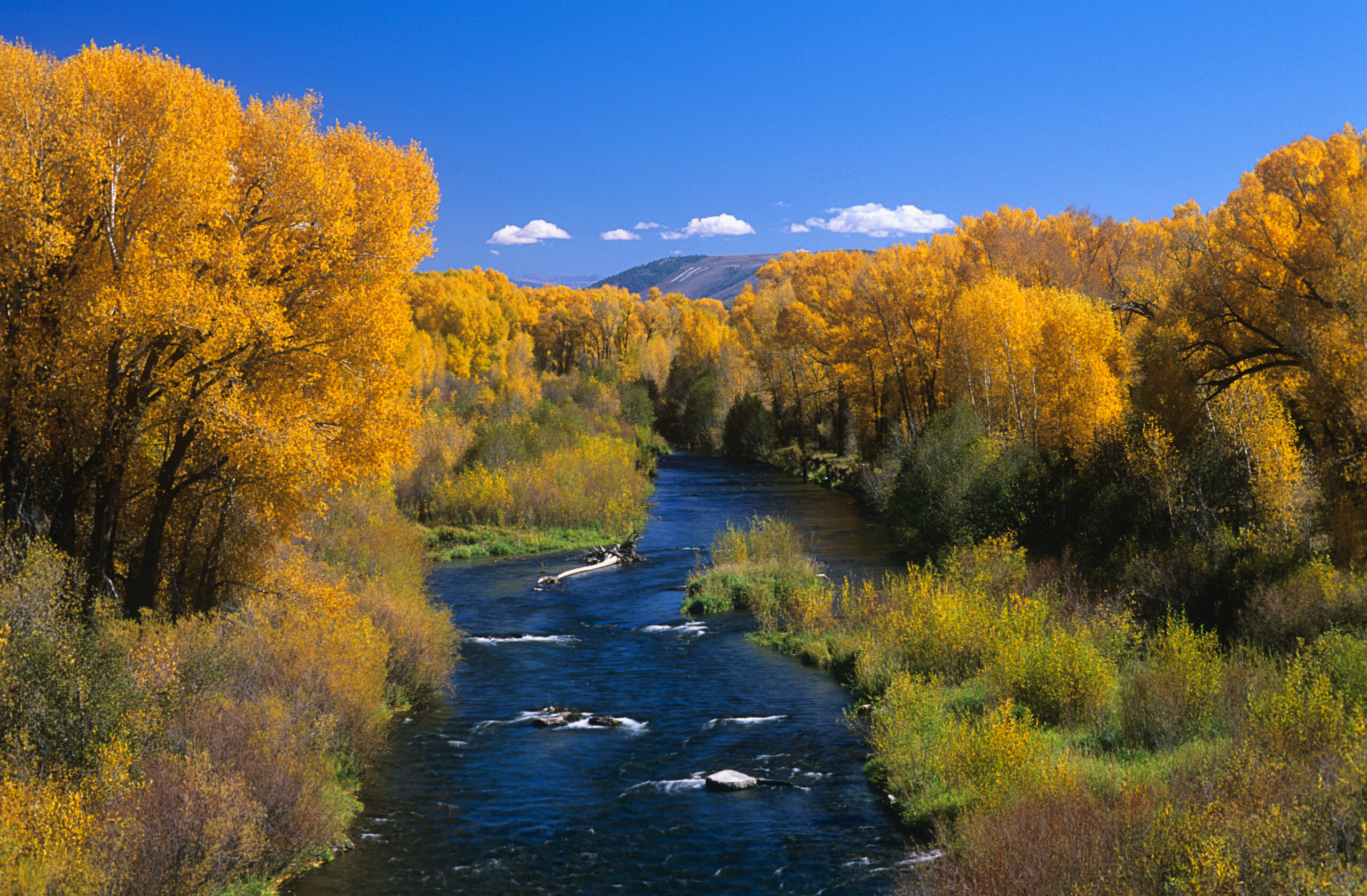 For the People Who Plant Trees Under Whose Shade They Never Expect to ...