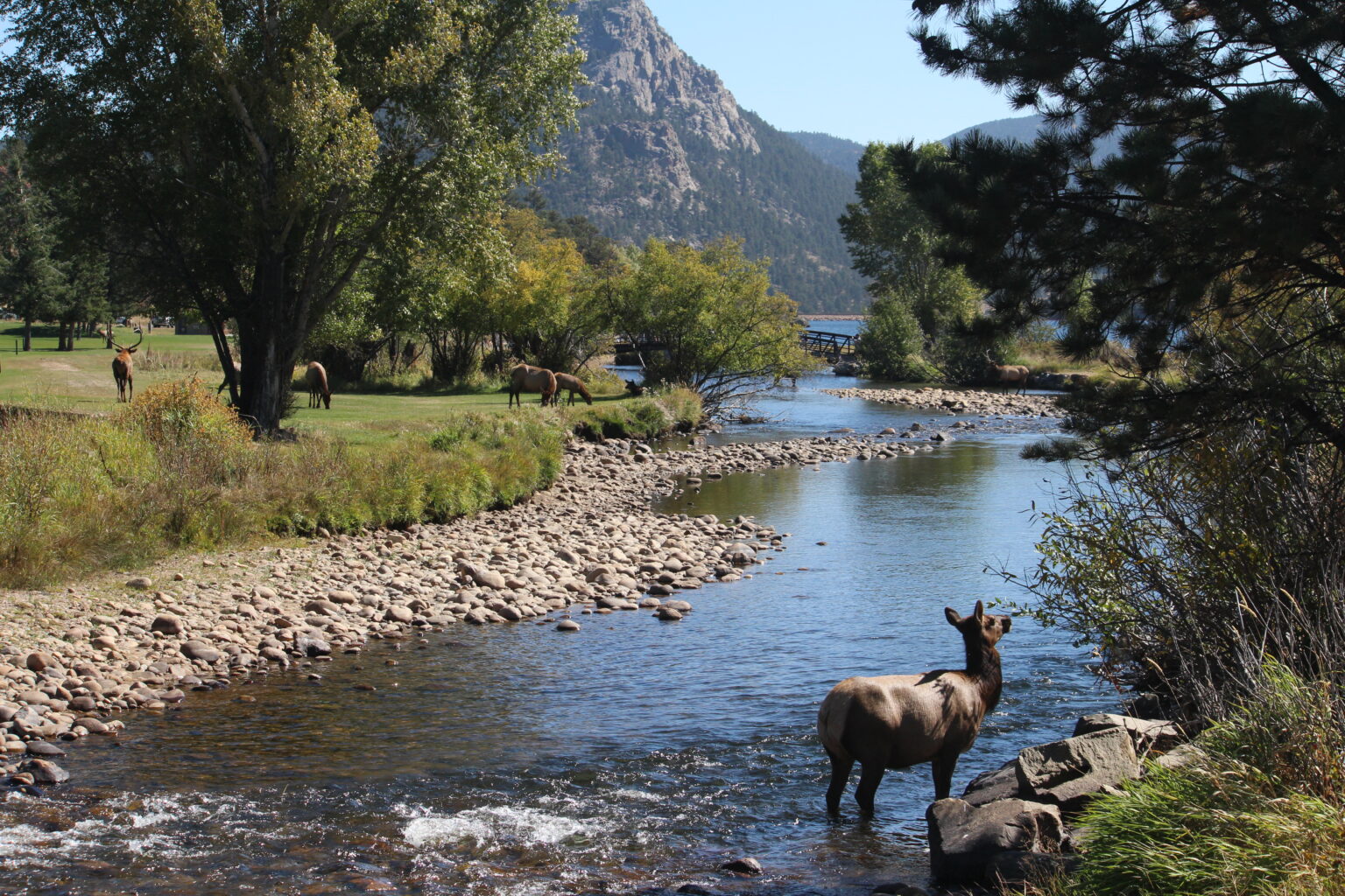 Reiter Family Foundation: Investing in Water as the Heart of ...